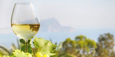 La sélection du Guide Hachette des vins des blancs d'hiver 2026